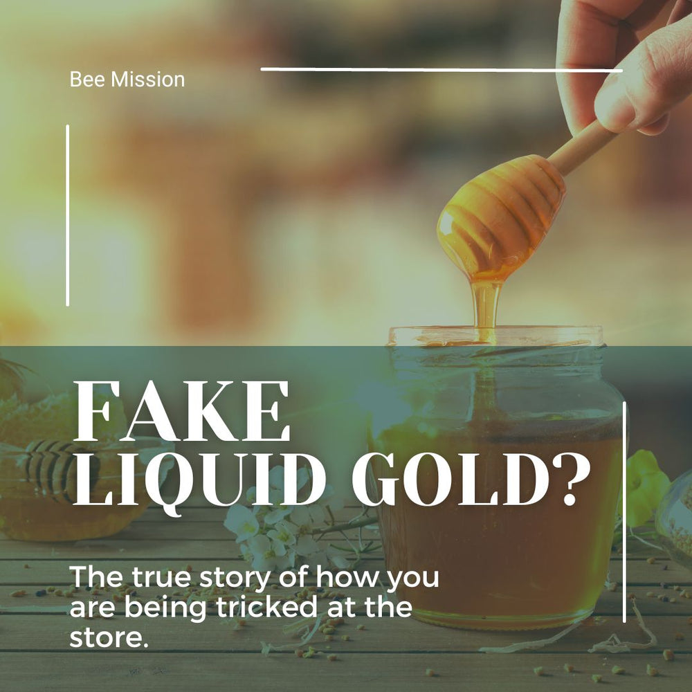 Fake Liquid Gold? - Bee Mission
